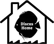 Premium Discus Fish, Food & Medicines | Discus Home